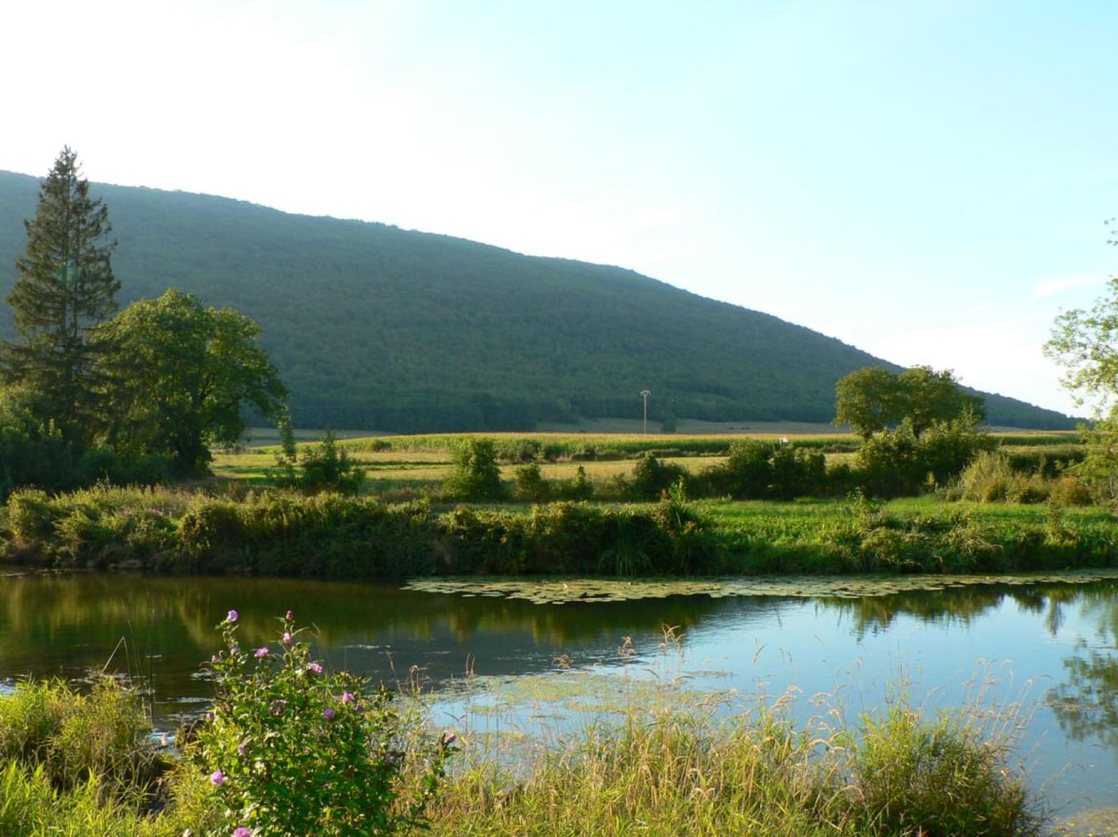 Le Suran | Montagnes du Jura