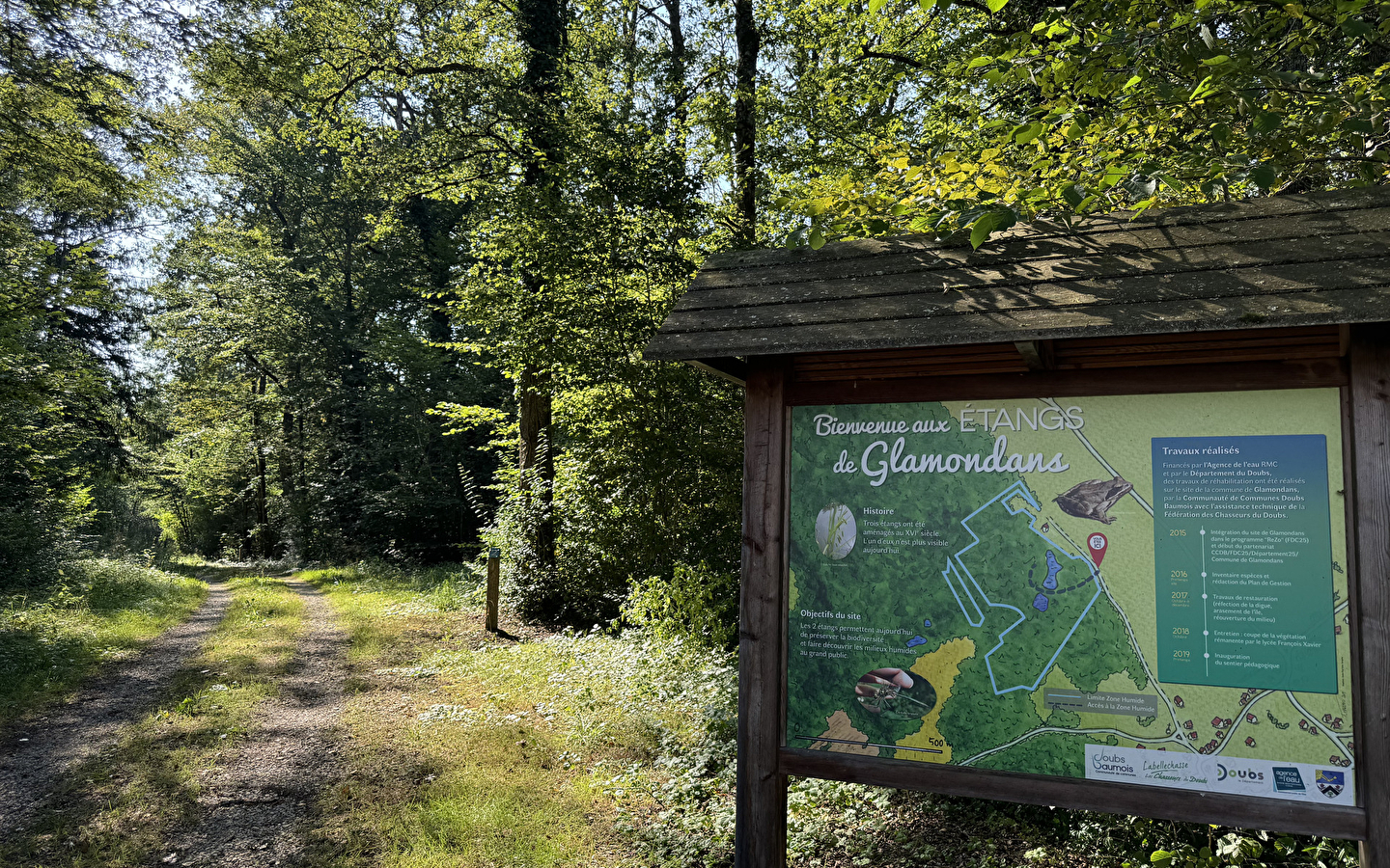 A la découverte de la zone humide de Glamondans | Montagnes du Jura