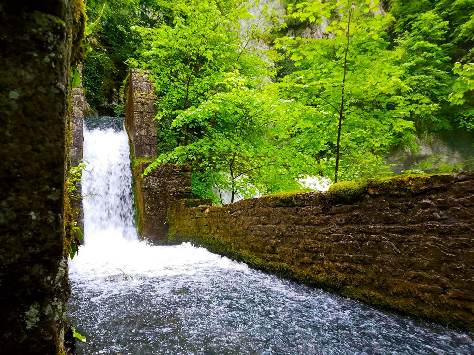 Découvrez la nature autrement avec les balades sophrologiques ...