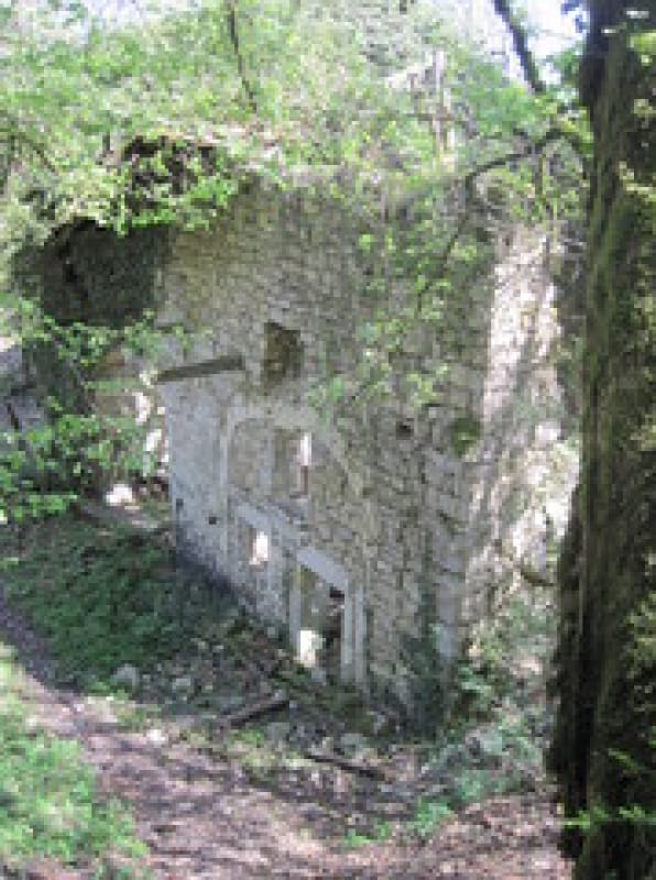 Castrum de Montdidier | Montagnes du Jura