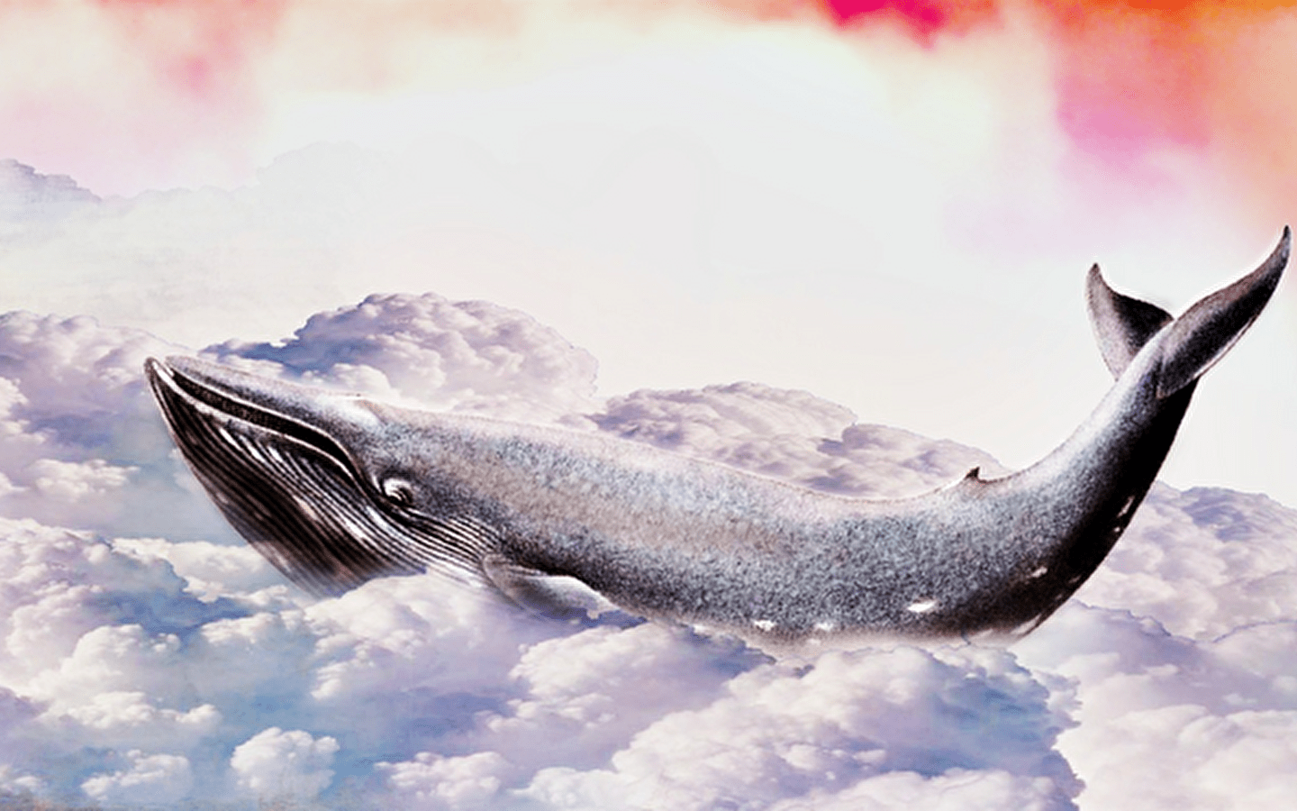 Des baleines dans le Léman et autres manifestations poétiques ...
