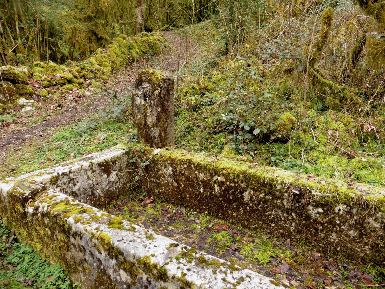 Castrum de Montdidier | Montagnes du Jura