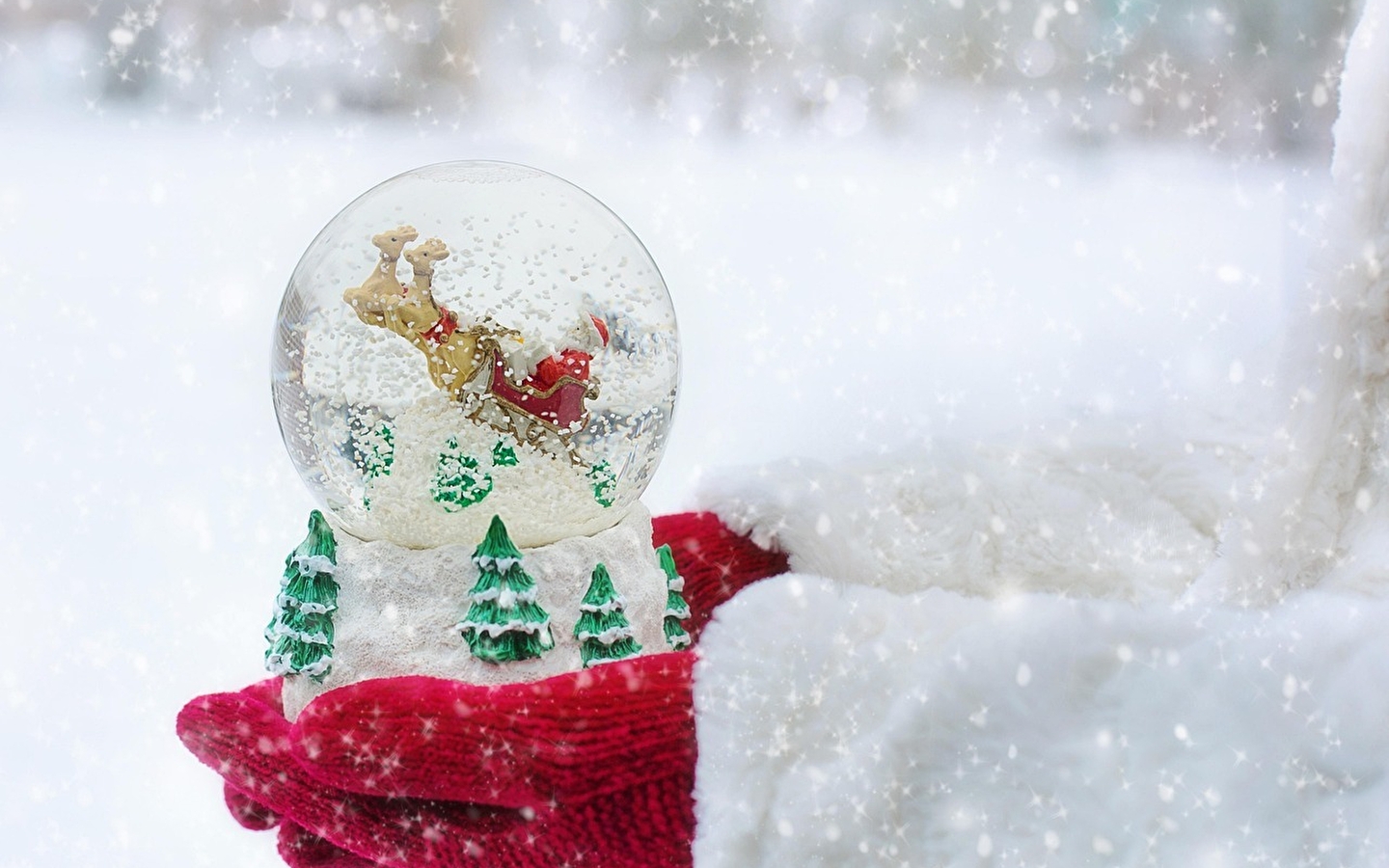 Atelier Boule à neige | Montagnes du Jura