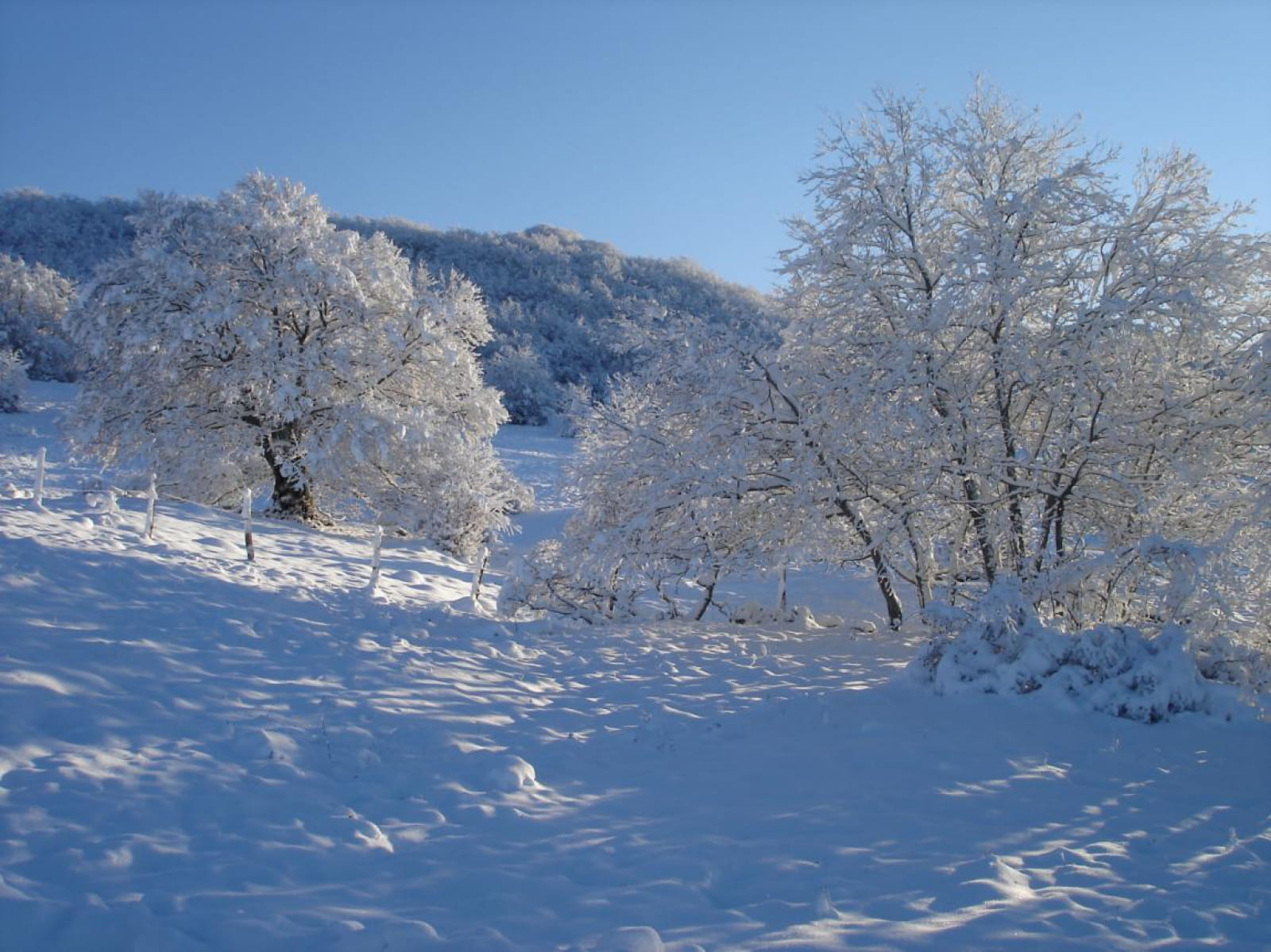 Le Plateau de Retord | Montagnes du Jura
