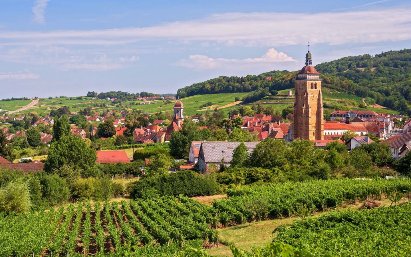 ARBOIS | Montagnes du Jura